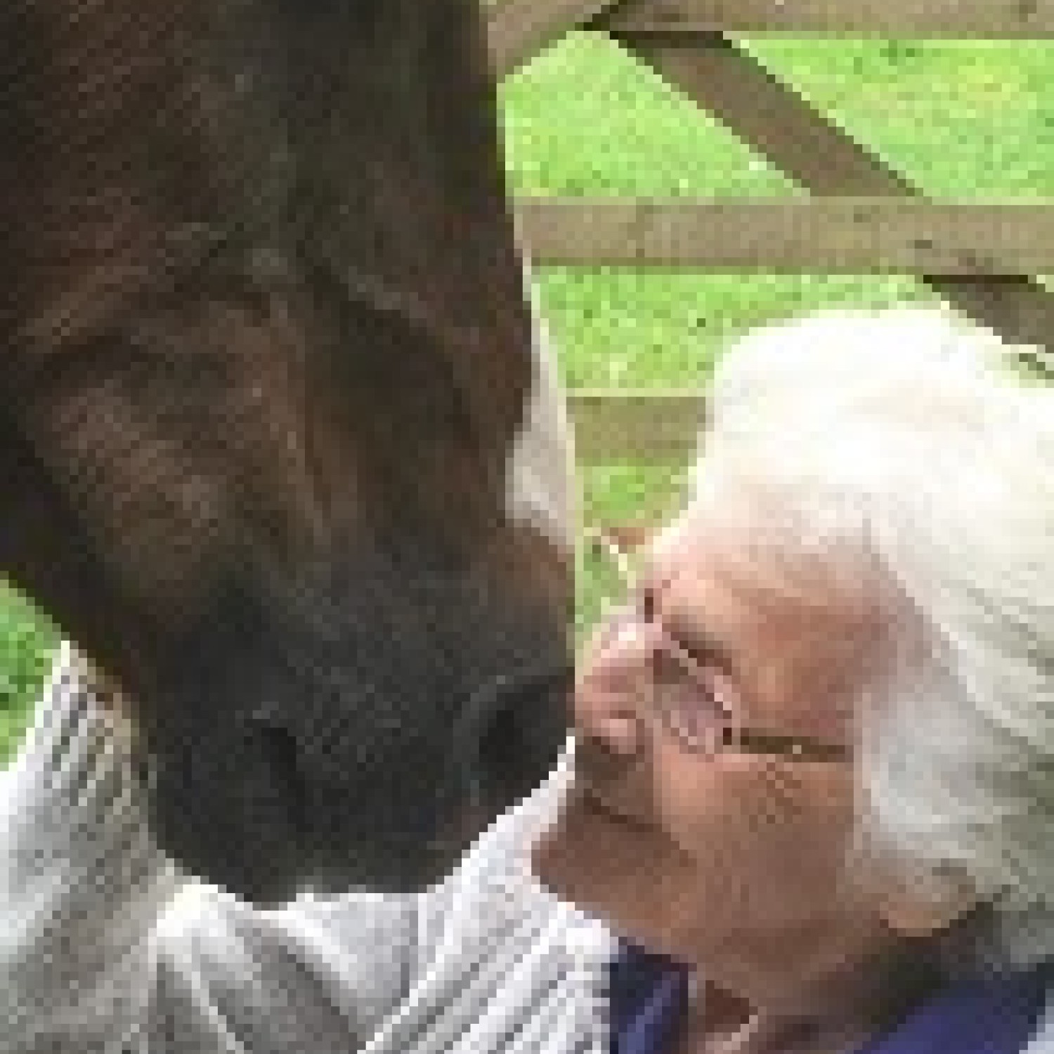 Muriel Ethel Brammer | Thornalley